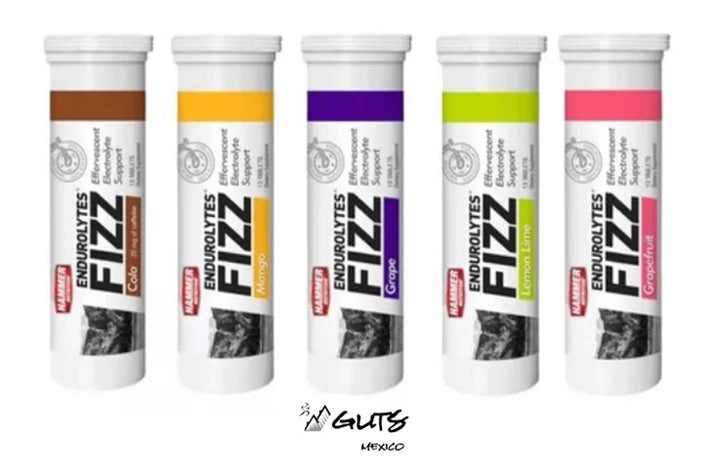 Tabletas Efervescentes Hammer Fizz (Tubo de 13 tabletas) – Guts México ...